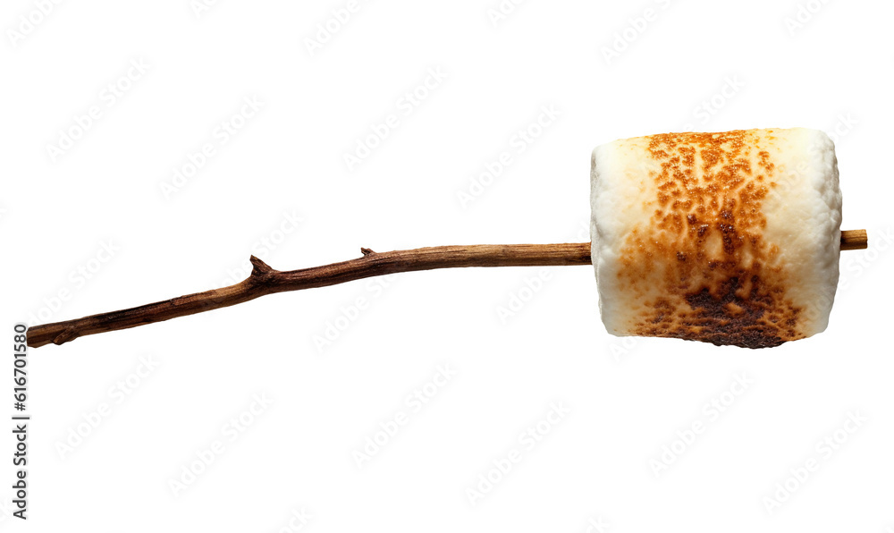 Toasted marshmallows on a stick isolated on transparent or white ...