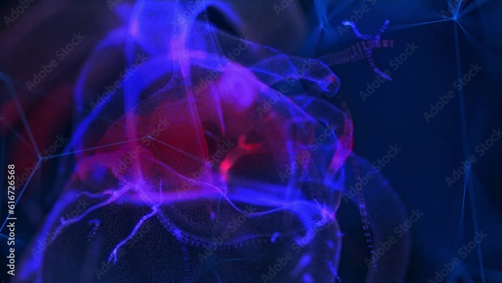 Human circulatory system. Heart beat anatomy animation. Particle mesh ...