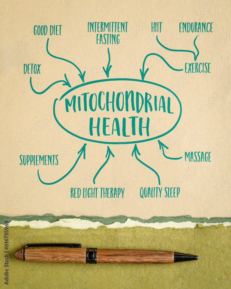 mitochondrial health concept - mind map sketch on art paper, healthy ...