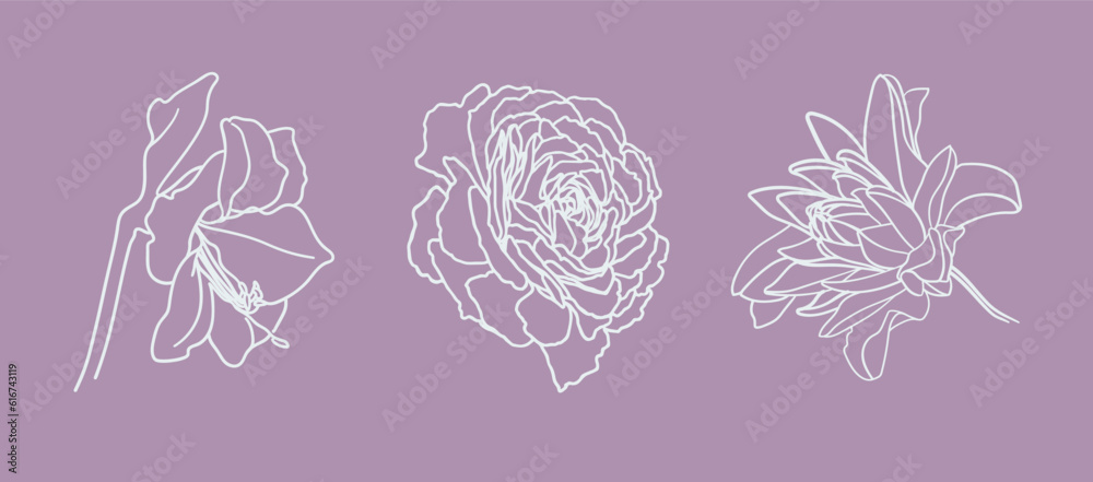 White flowers collection outline vector clipart. Flowers line art ...