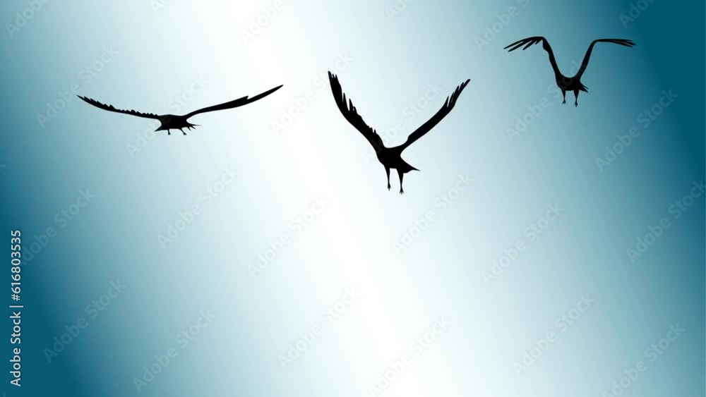 Silhouette of birds flying background and 2d animation, 4k, bird ...