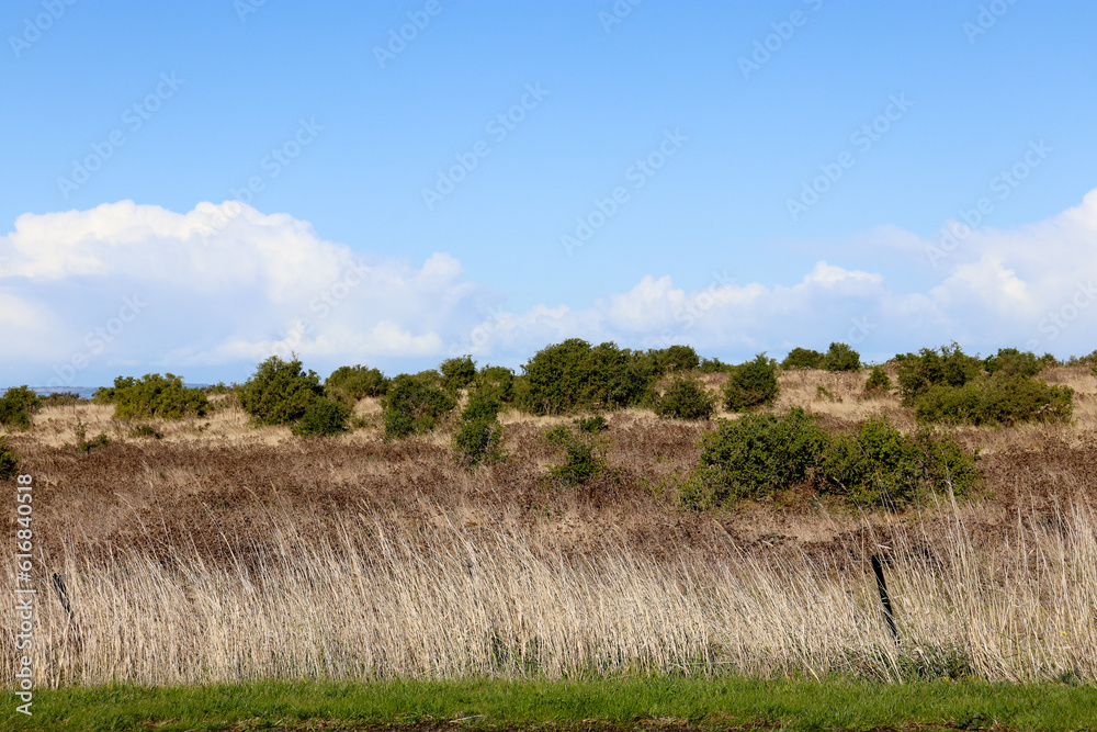 arid field and grasslands in outer western Melbourne Stock Photo ...