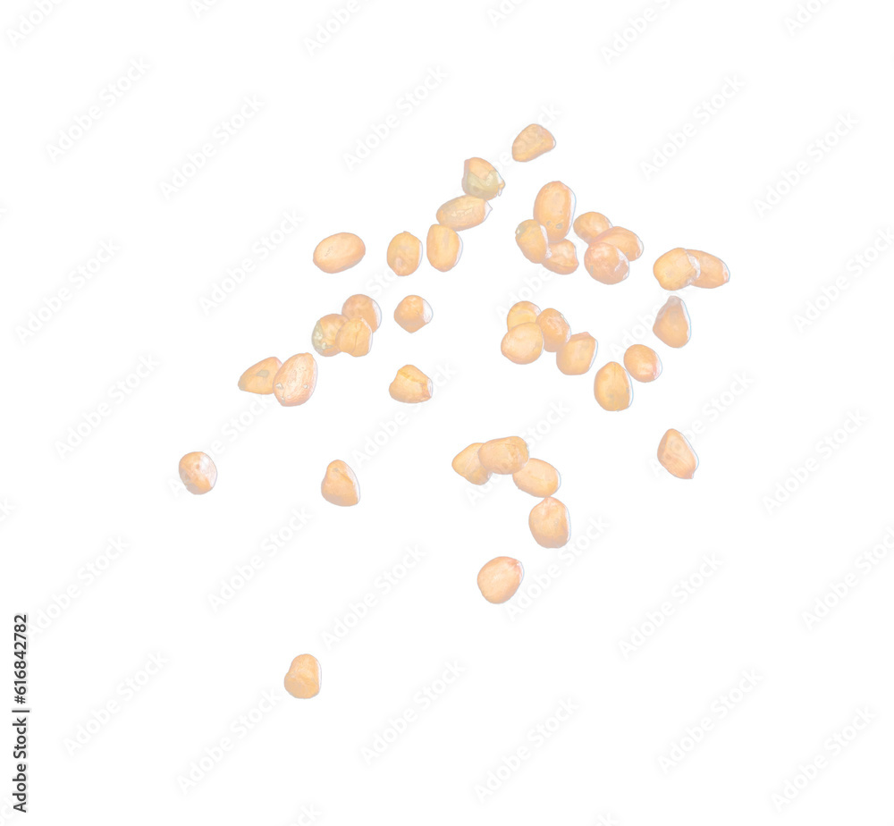 Peanut flying explosion, brown grain peanuts explode abstract cloud fly ...