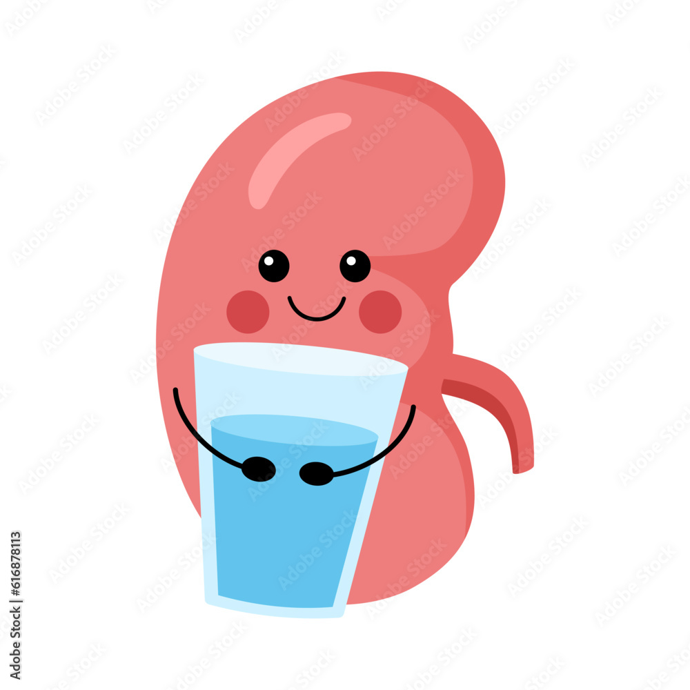 Cute kidney hugging glass of water cartoon character in flat design on ...