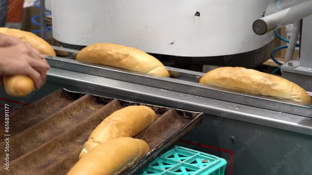 Fresh Bread Moving Along Packaging Line in Bread Factory. Production ...