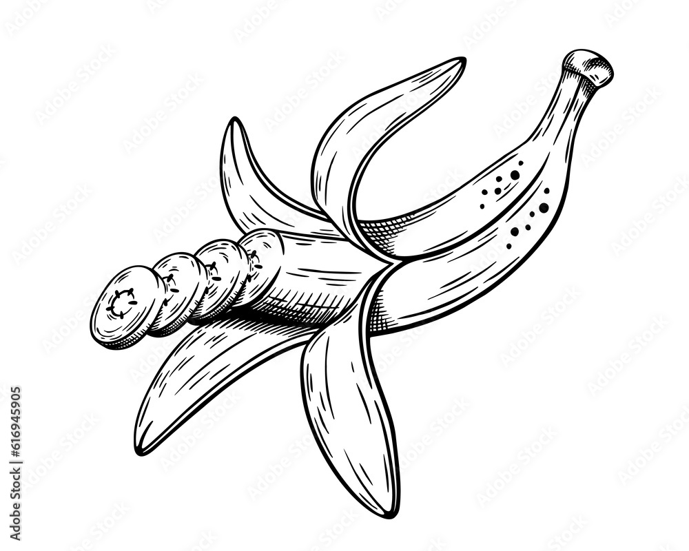 Hand drawn bananas sketch isolated on white background. Vector ...