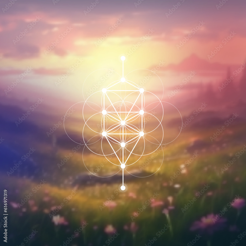 Flower of life. Tree of life. Sacred geometry spiritual new age ...