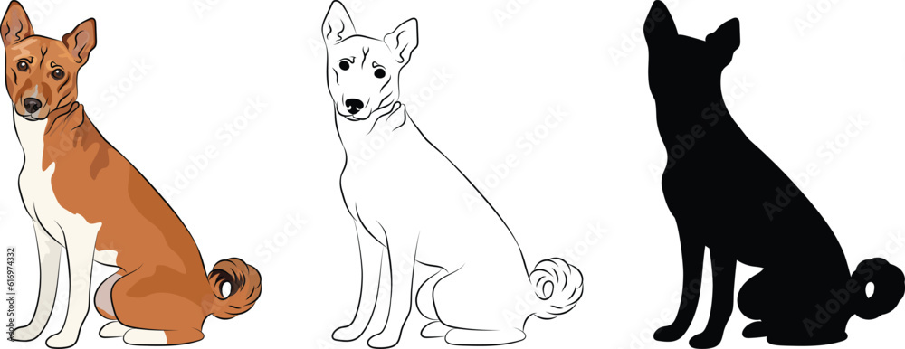 Basenji silhouette, outlined graphic. Sitting pose Congo dog. Cute dog ...