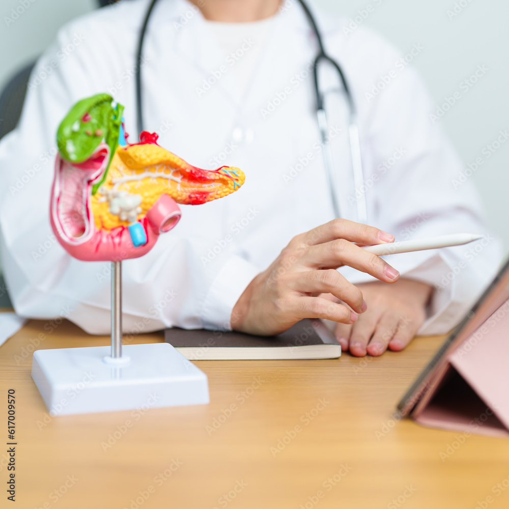 Doctor with human Pancreatitis anatomy model with Pancreas, Gallbladder ...