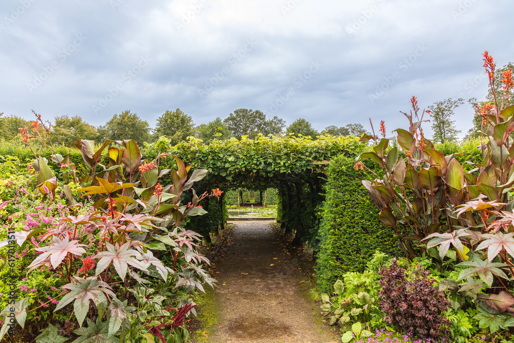 Natural gate cut through the tall hedge with Ricinus communis, the ...