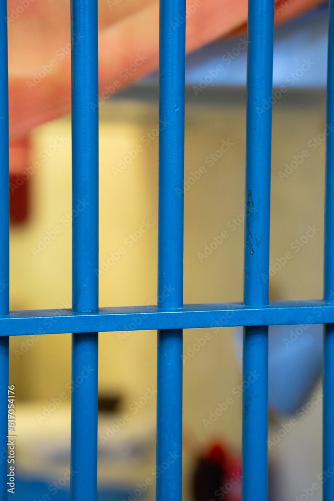 close up blue metal bars on gate of prison cell yellow red colors out ...