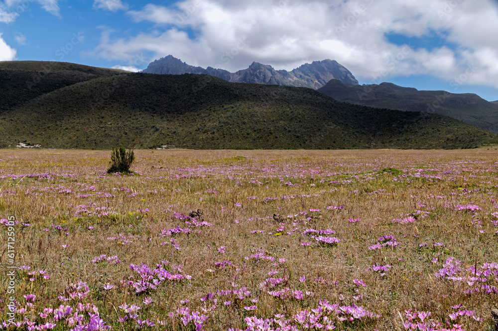 Rumiñahui volcano. A rocky volcano that only preserves a small portion ...