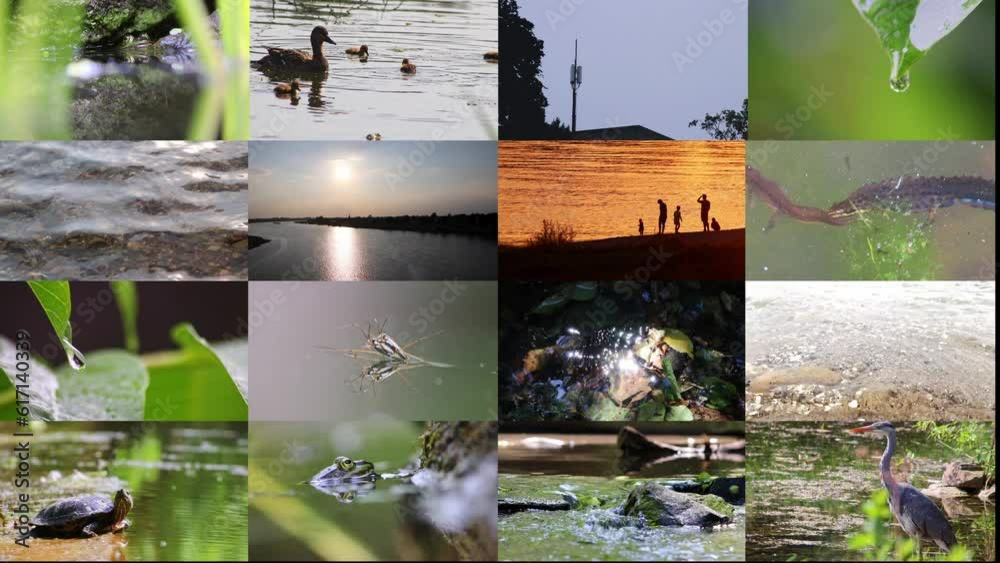 Animated collage of water videos shows multiple water surface videos ...