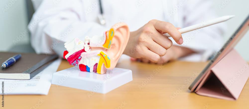 Doctor with human Ear anatomy model with tablet. Ear disease, Atresia ...