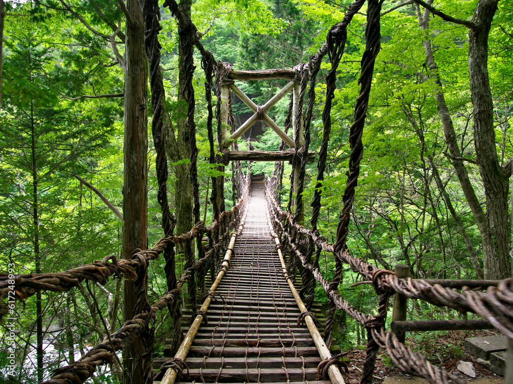 Tokushima, Japan - June 25, 2023: Oku-Iya double vine bridge or Oku-Iya ...