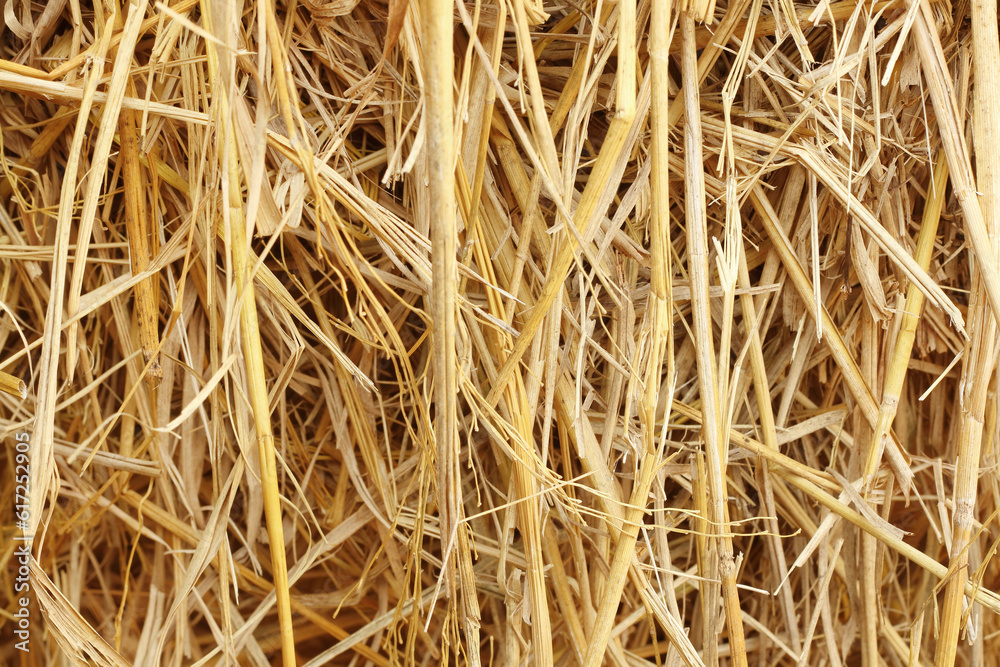 Dry straw texture for background and design art work, bales of cereal ...