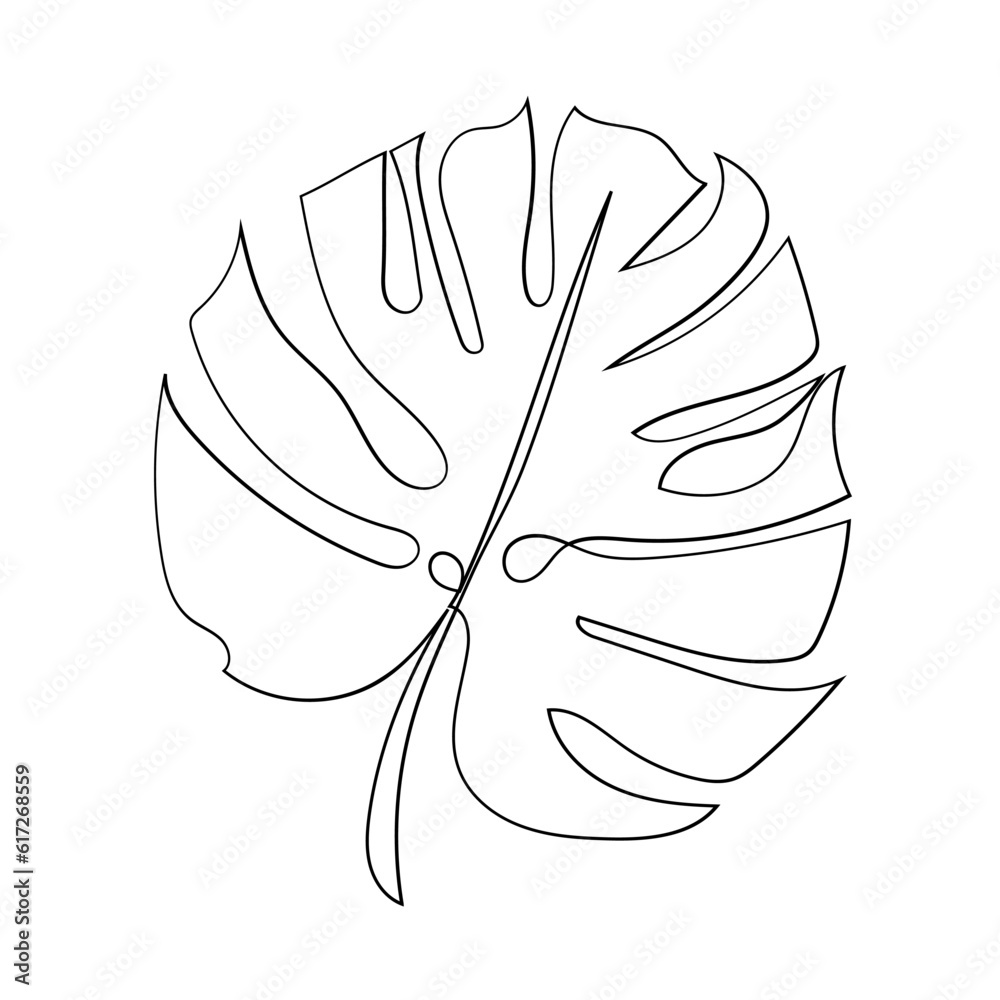 Monstera leaves. Line art. Continuous line. Black outline. Tropical ...