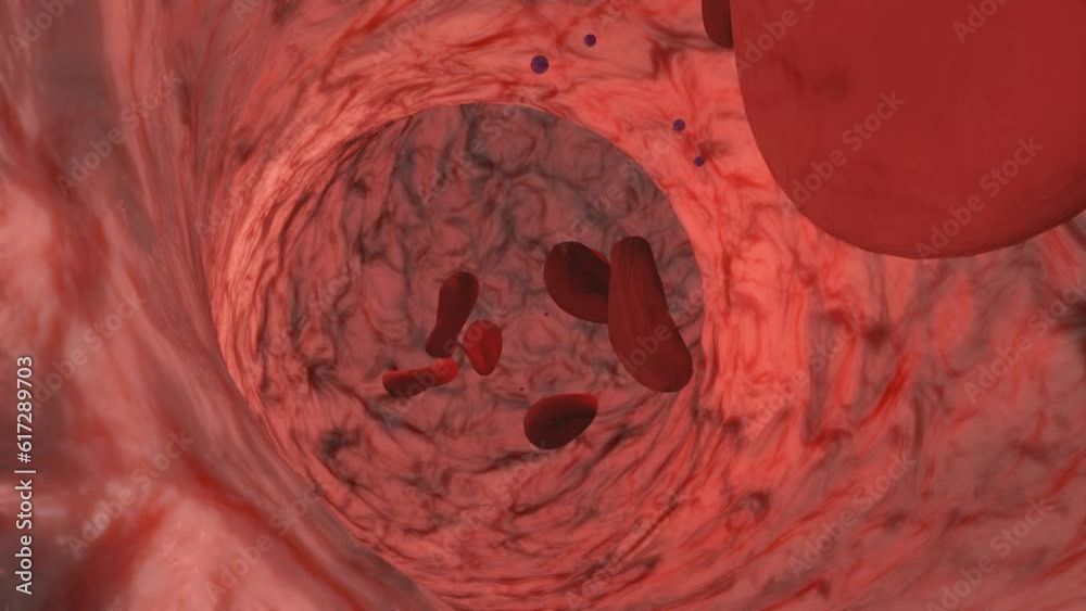 Blood cells moving through the vein. Erythrocytes and platelets ...