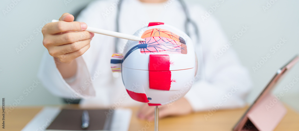 Doctor with human Eye anatomy model with magnifying glass. Eye disease ...