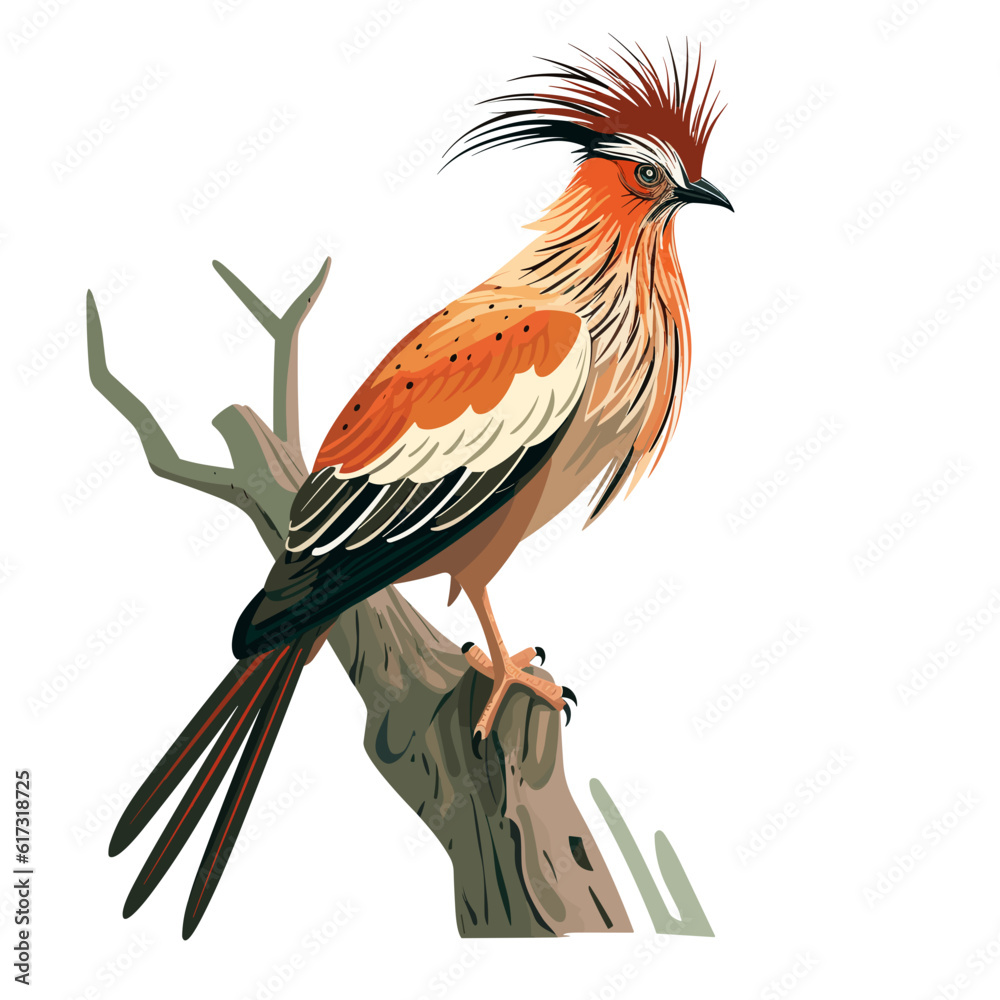 Prehistoric Marvel: Hoatzin in Vector Cartoon Style Stock Vector ...
