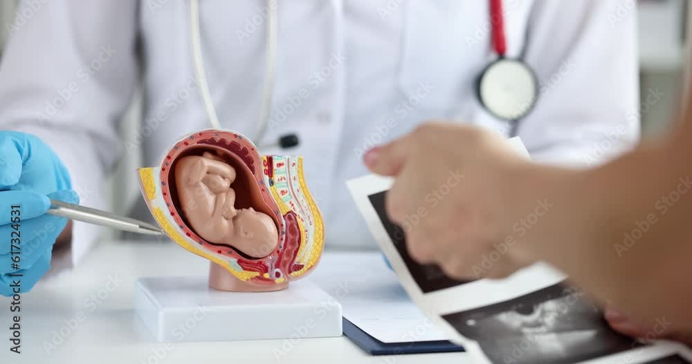 Woman visits gynecologist in hospital for consultant on pregnancy and ...