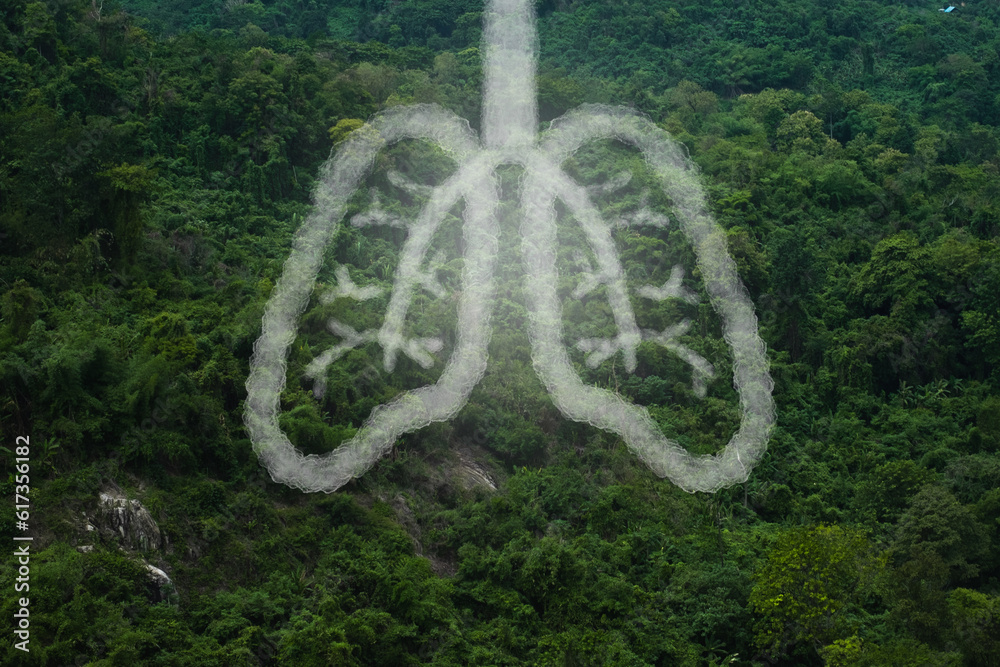 Cloud lung, Concept of green and healthy earth, Sustainable and ecology ...