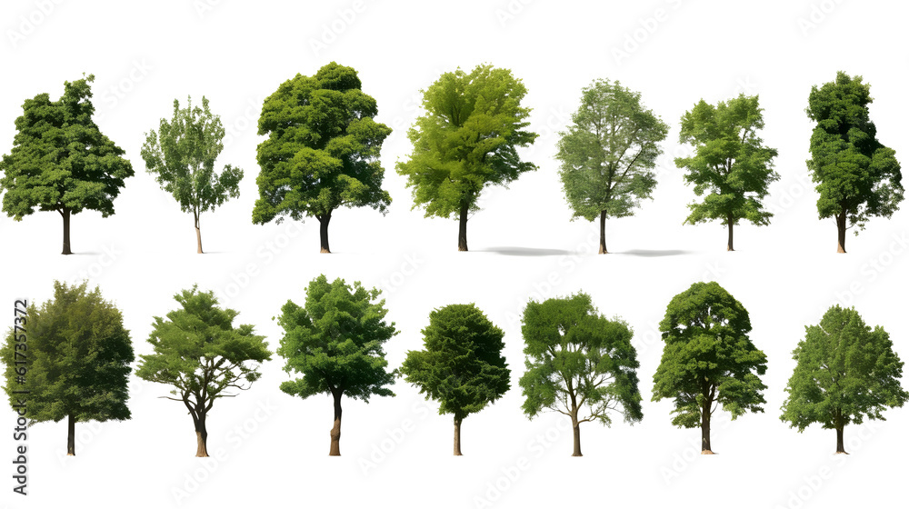 Set of Photorealistic Tree Collection on transparent background png ...