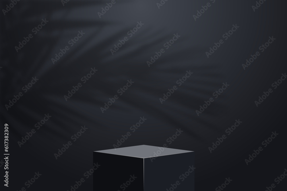 Realistic dark platform with shadow overlay of palm tree branch. Stage ...