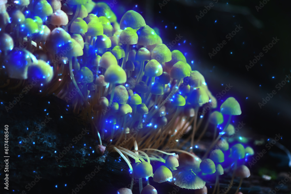 Neon glow mushrooms growing on a mossy tree stump in the magic forest ...