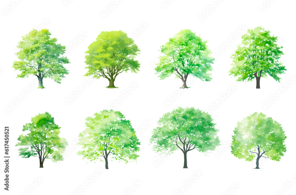 tree watercolor vector illustration, Minimal style tree painting hand ...