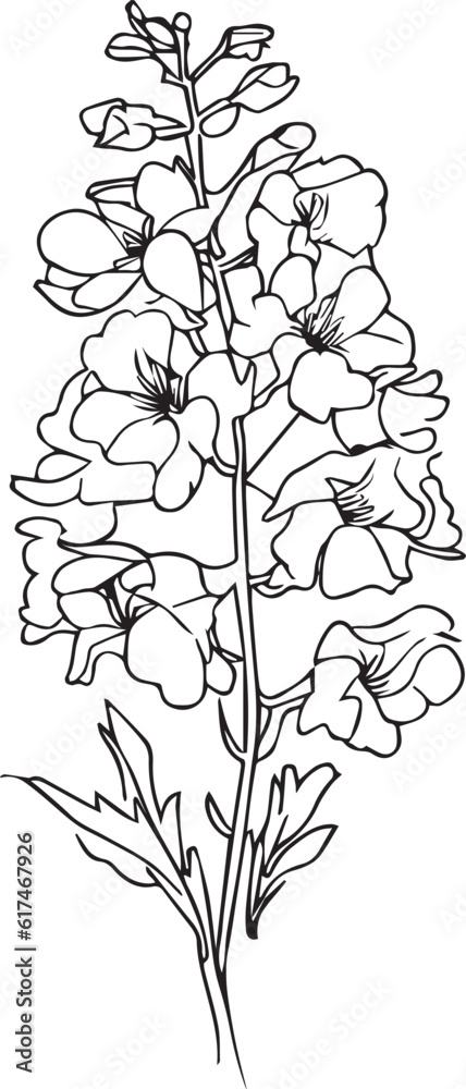 small minimalist larkspur tattoo, pencil delphinium drawing, outline ...