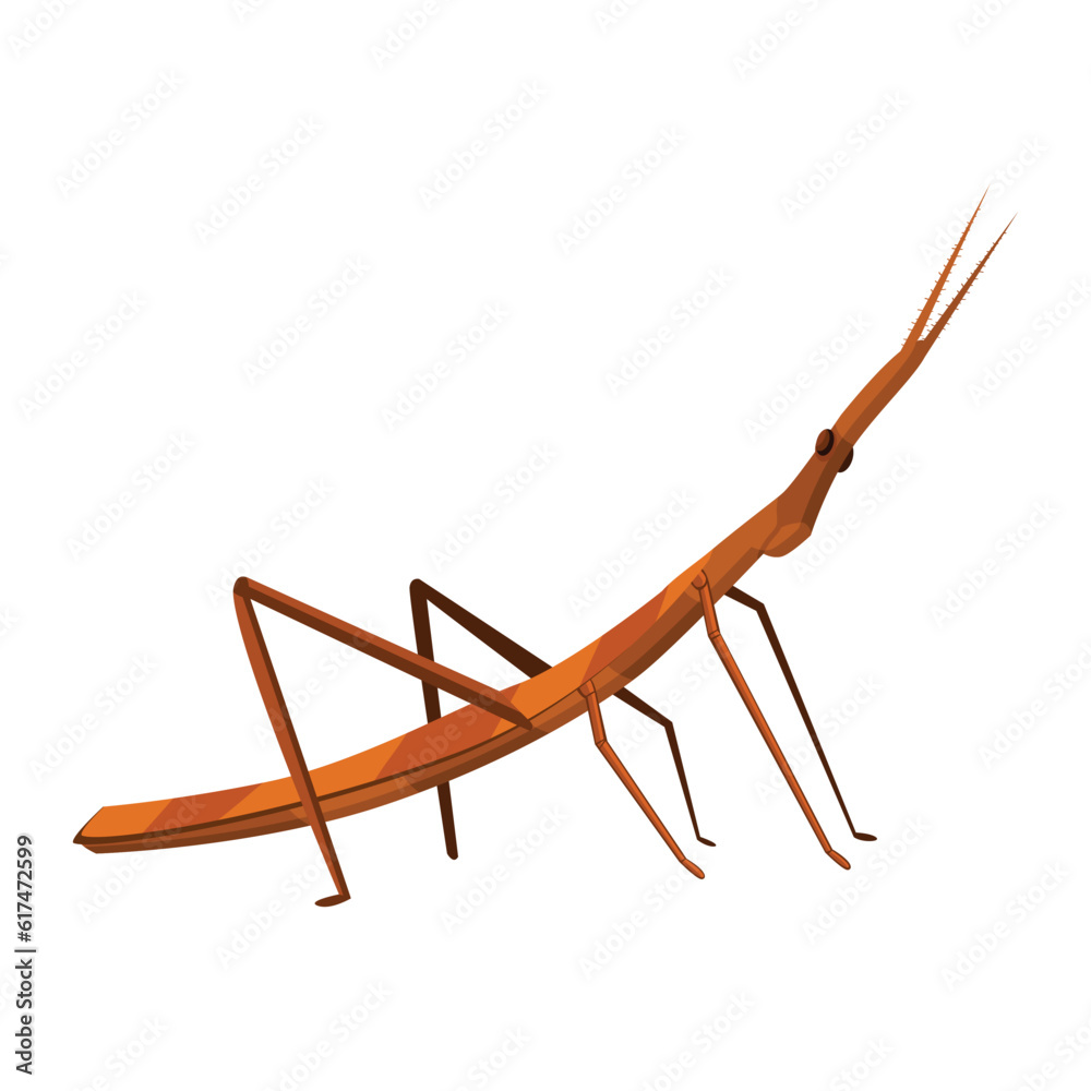 Vector Cartoon stick insect Character isolated illustration Stock ...