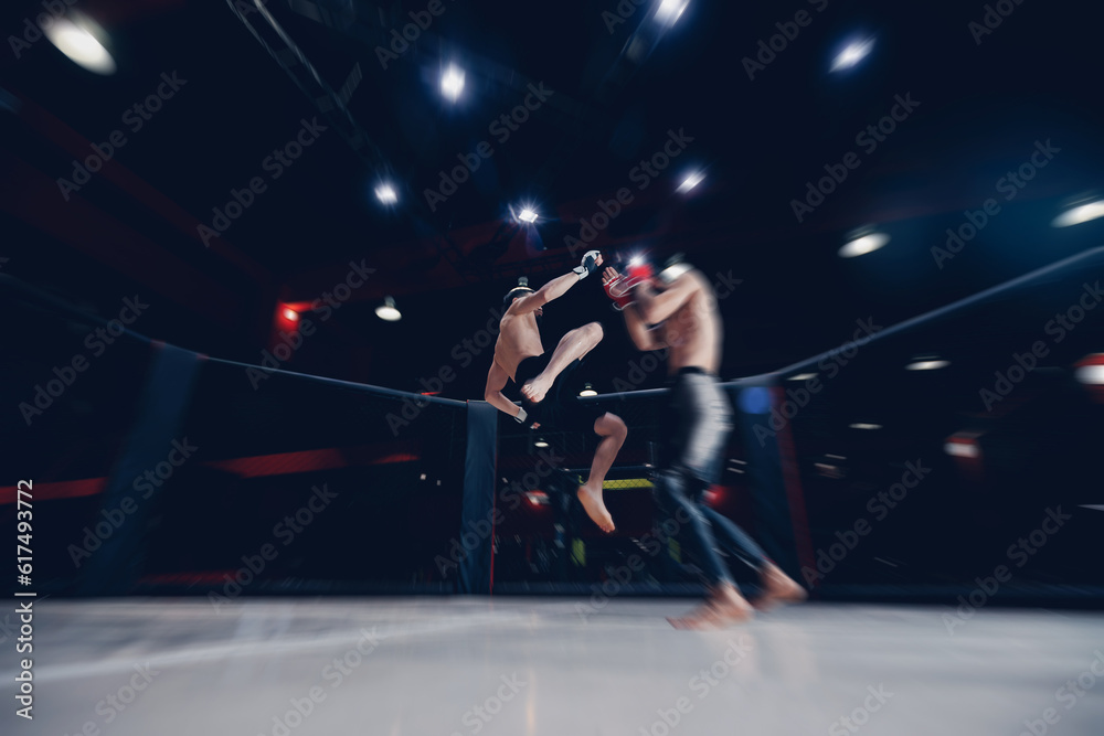 Two man MMA boxers fighters in fights without rules in ring octagon ...