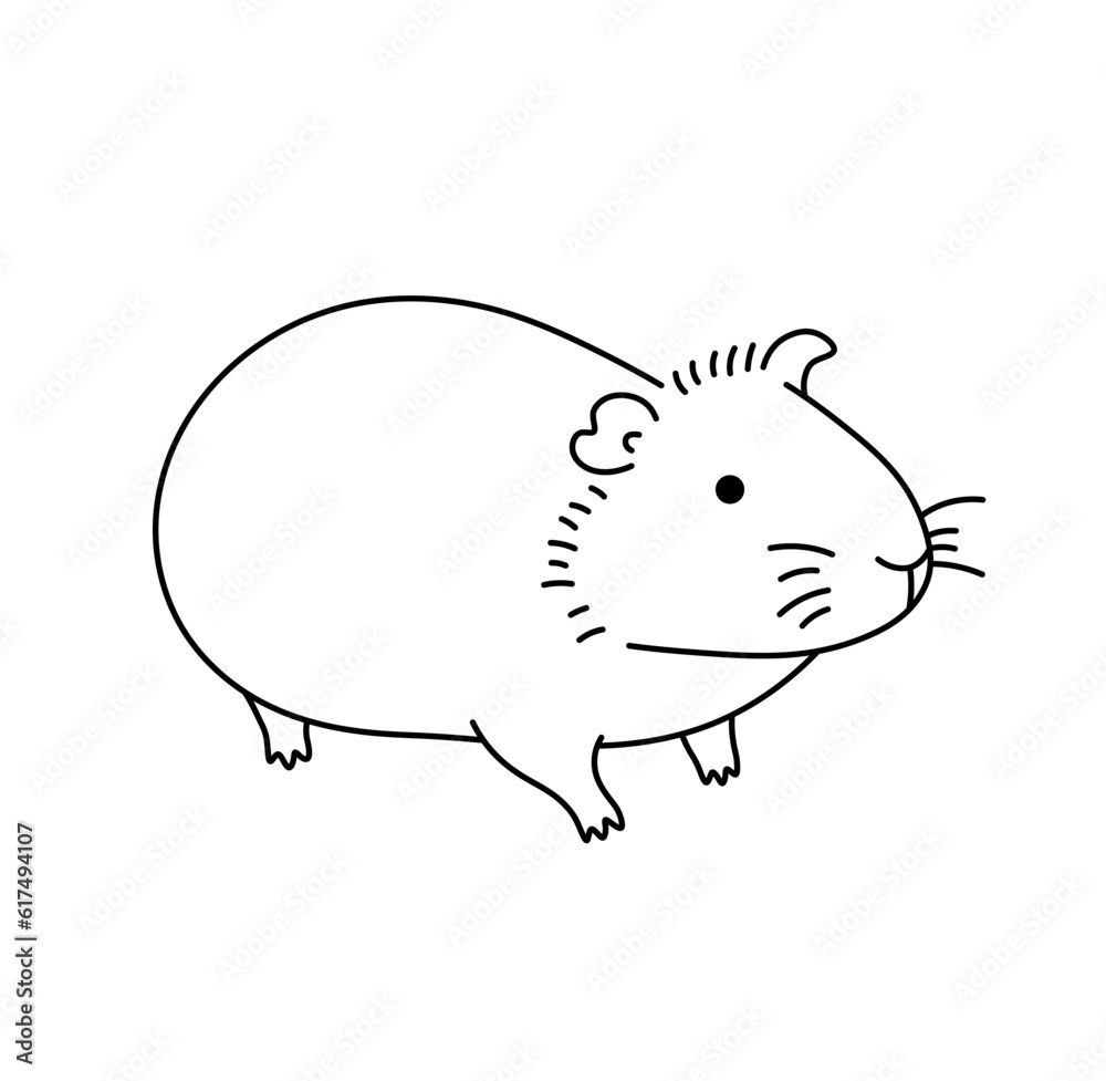 Vector isolated one single cute cartoon guinea pig hamster pet ...