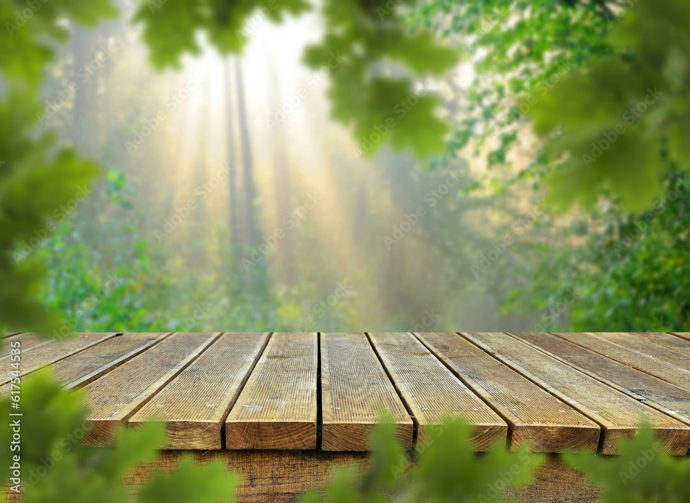 nature background image ,tree growing under a clouded sky , green ...