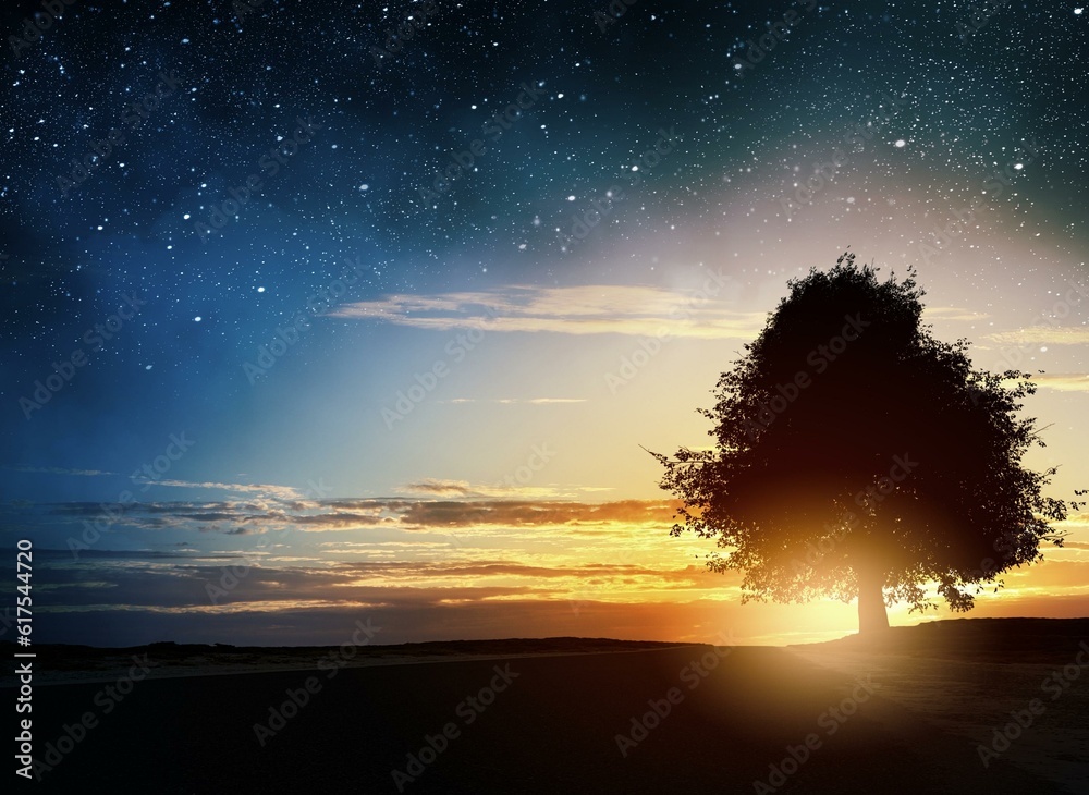 nature background image ,tree growing under a clouded sky , green ...