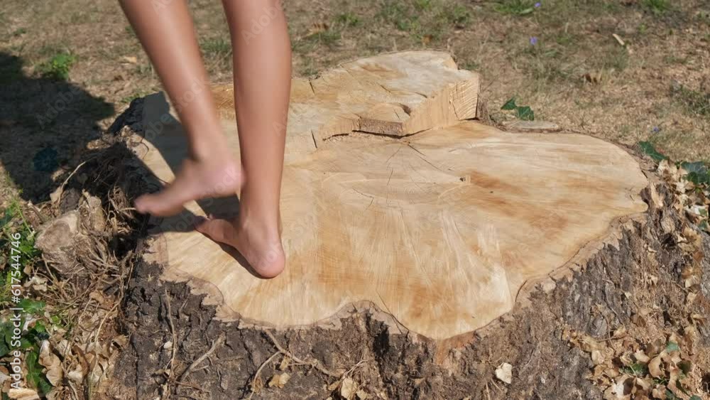 Vidéo Stock Bare feet on stump. A child bare feet stand on the stump in ...