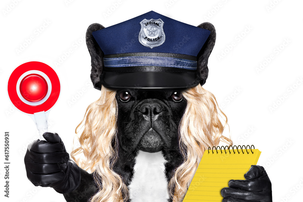 policewoman dog ON DUTY WITH ticket fine and stop sign isolated on ...