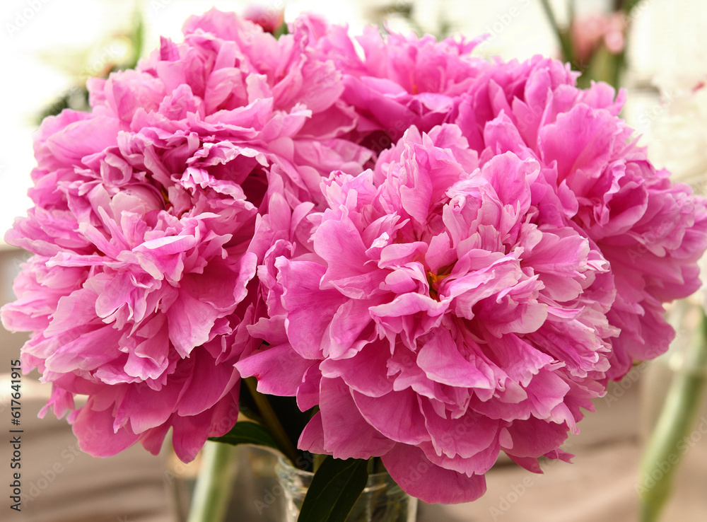 Named after man who discovered penicillin, Doctor Alexander Fleming ...