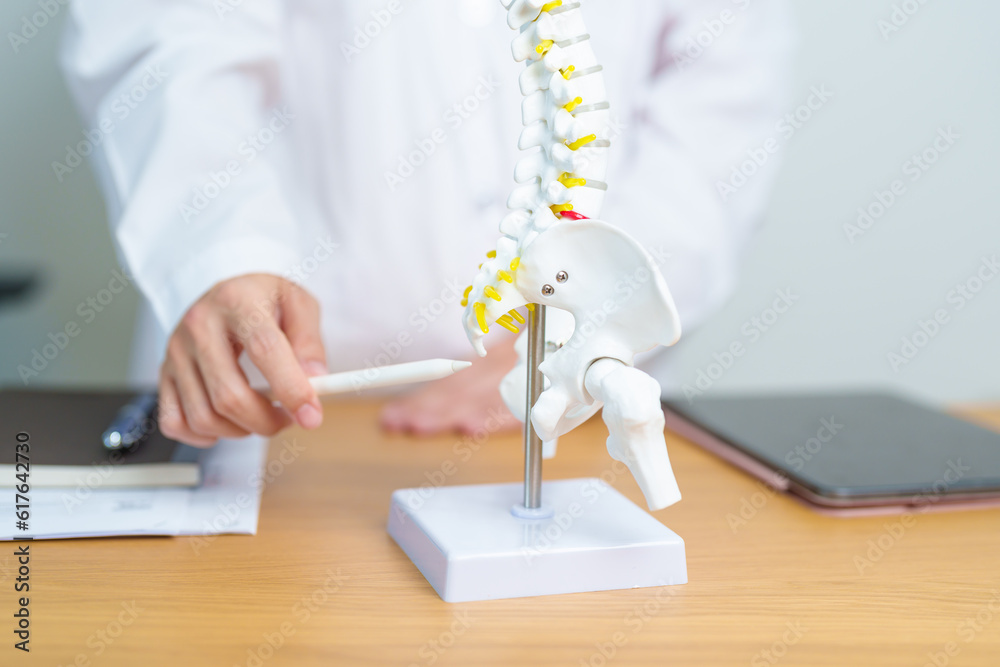 Doctor with human Spine anatomy model. Spinal Cord Disorder and disease ...