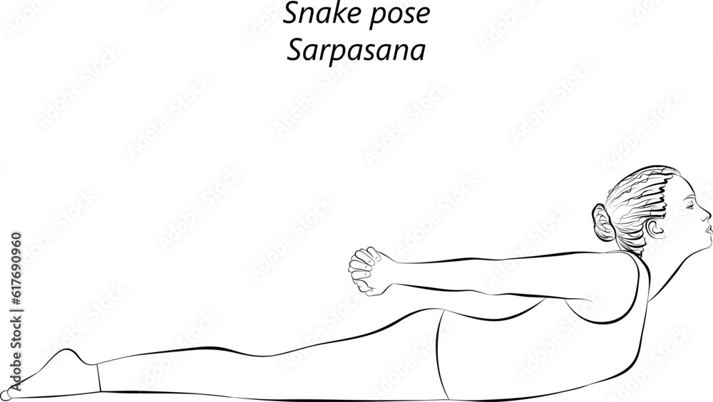Sketch of young woman practicing yoga, doing Snake pose. Sarpasana ...
