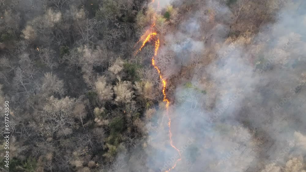 Climate change, wildfires release carbon dioxide (CO2) emissions and ...