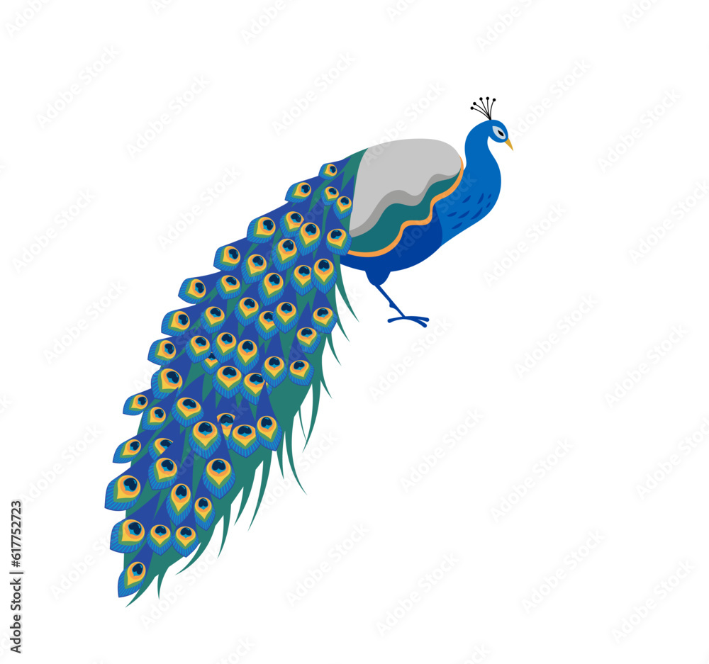 Peacock Illustration Exotic Bird Indian Peacock Stock Vector Adobe Stock