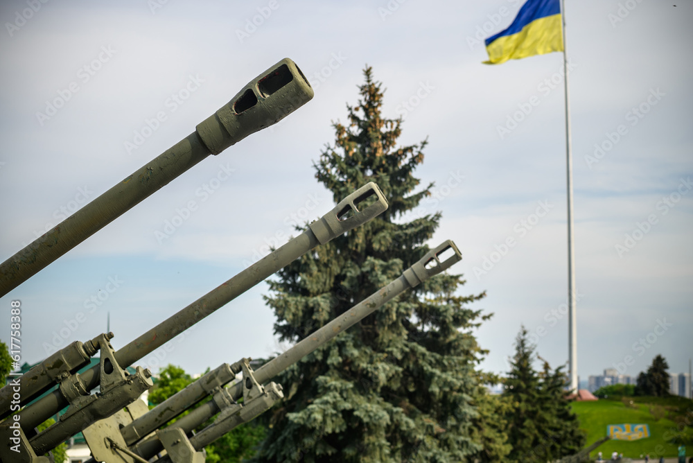 Groups of ancient military guns against the background of the State ...