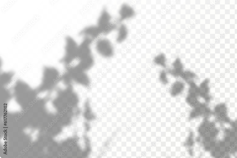 Realistic shadow tropical leaves and branches on transparent checkered ...