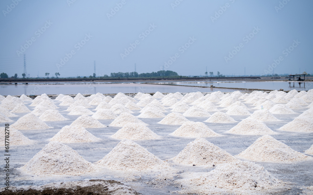 Landscape sea salt farm in Thailand. Brine salt. Raw material of salt ...
