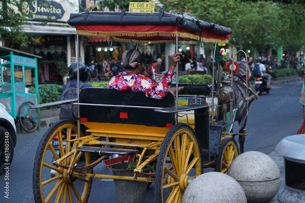 A horse-drawn delman is a traditional means of transportation that ...