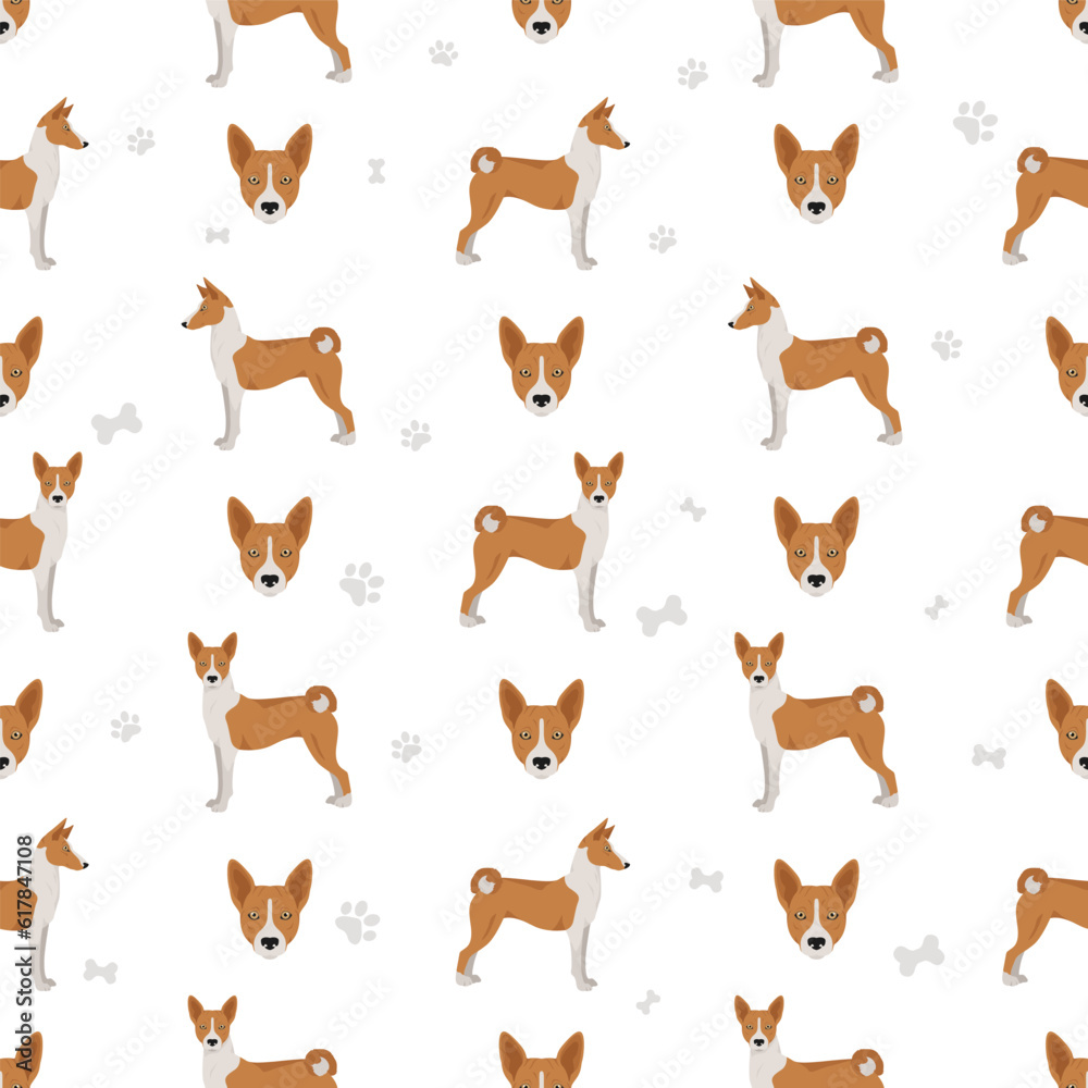 Basenji all colours seamless pattern. Different coat colors and poses ...