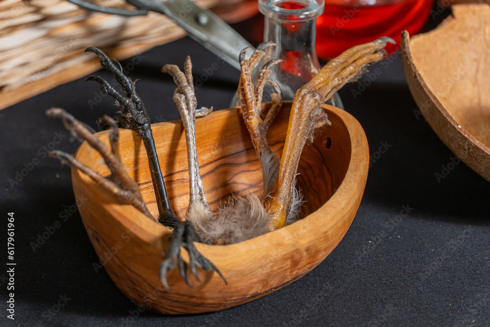 Bird’s parts feather and raven toes on witch’s altar for performing a ...