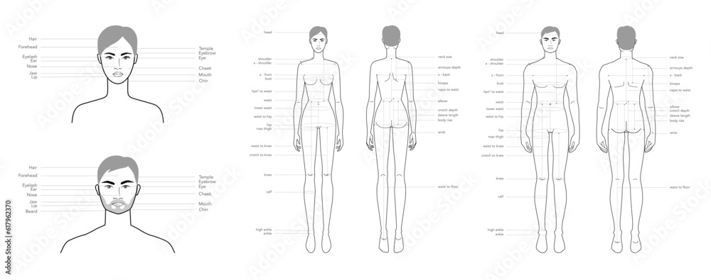 Female Body Structure Diagram With Names - Infoupdate.org